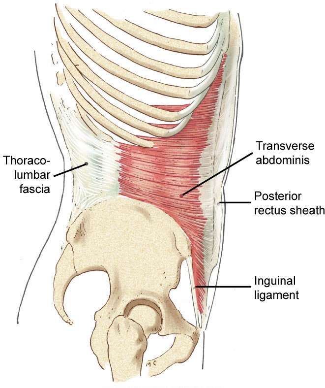 Spinal Stabilization Part 2